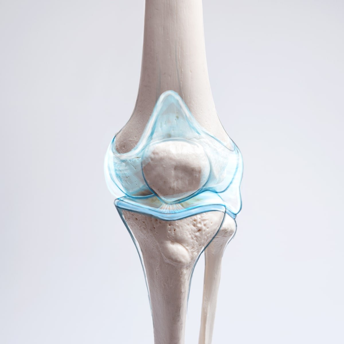 Stammzelltherapie bei Knorpelschaden - Ortho Health Institut